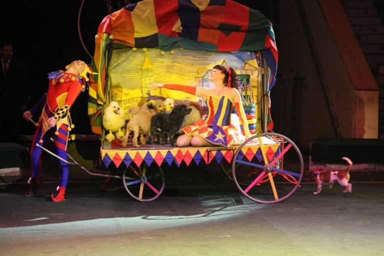 Travel circus in Florida. Circus performers for hire in Orlando
