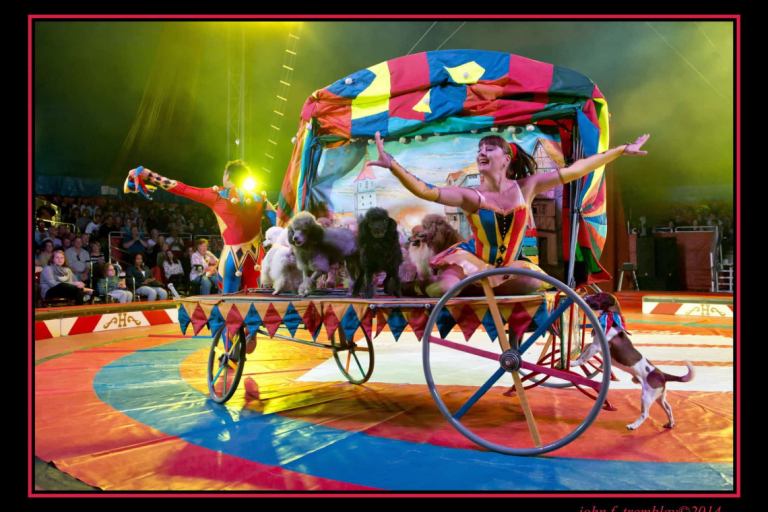 Travel circus in Florida. Circus performers for hire in Orlando